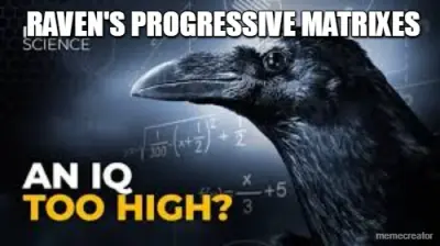 Iq too high Meme Generator — Make a Iq too high Meme Free | Meme Creator